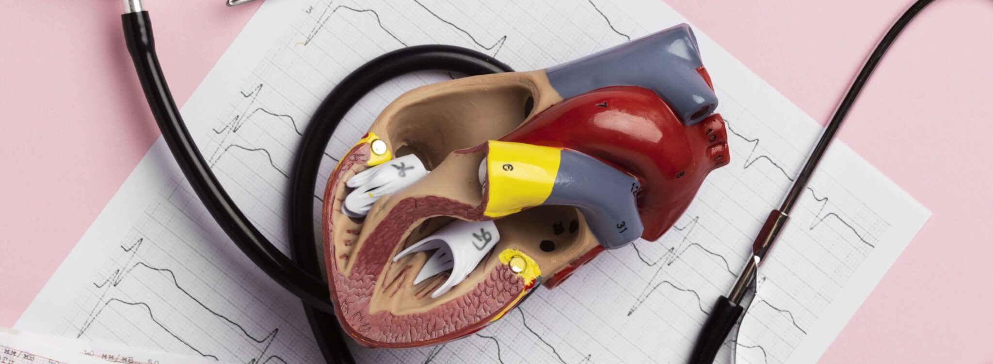 Valvular Heart Disease - Amarillo Heart Institute